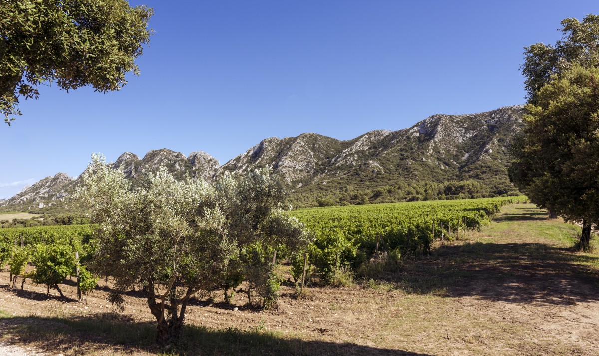 5 Best Day Trips from Aix-en-Provence France