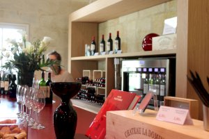 Saint Emilion Wine Tour Private Day Trip From Bordeaux France