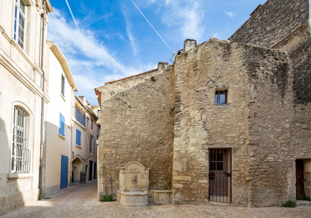 Provence Olive Oil & Saint-Rémy – Avignon River Cruise Tour