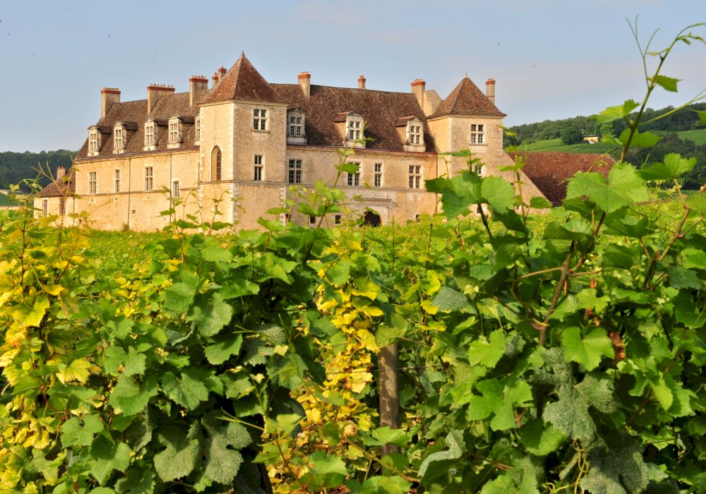 Burgundy Wine Tour Private Day Trip from Dijon to Cote de Nuits & Cote ...